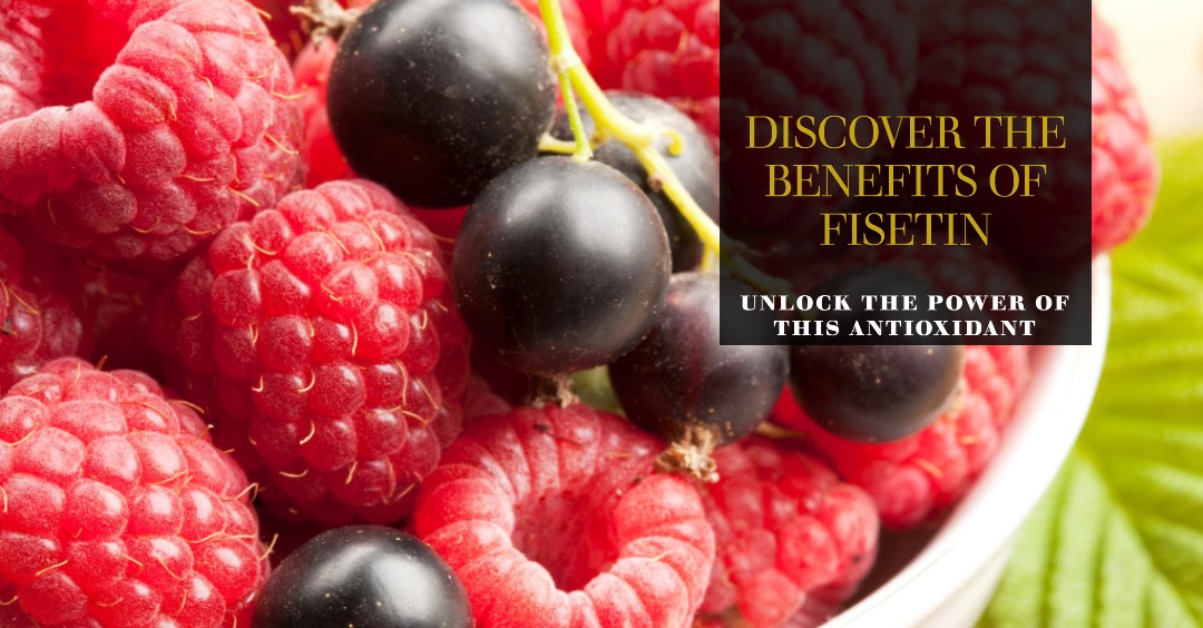 Fisetina: Un Potente Antioxidante Antienvejecimiento - Joven Aun